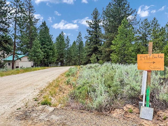 1497 Pine Ridge Dr