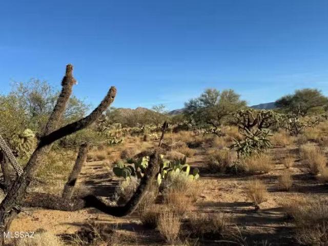 14982 Garvey Rd, Tucson, AZ 85736 MLS 22428807