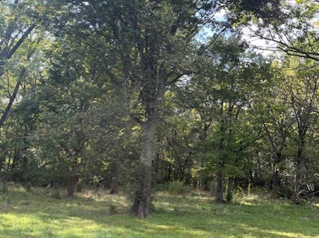 1498 Viney Grove Road