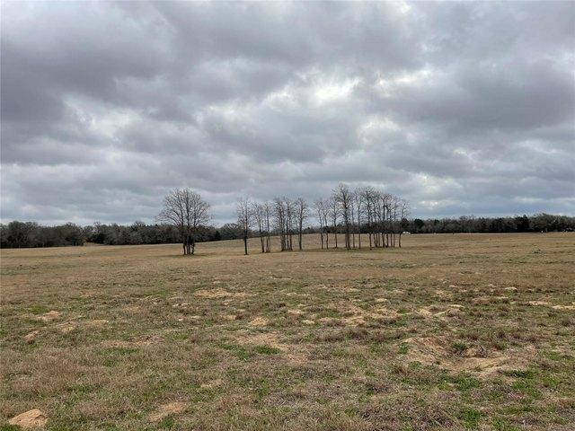 1498 Walleye Creek Ln, Lexington, TX 78947