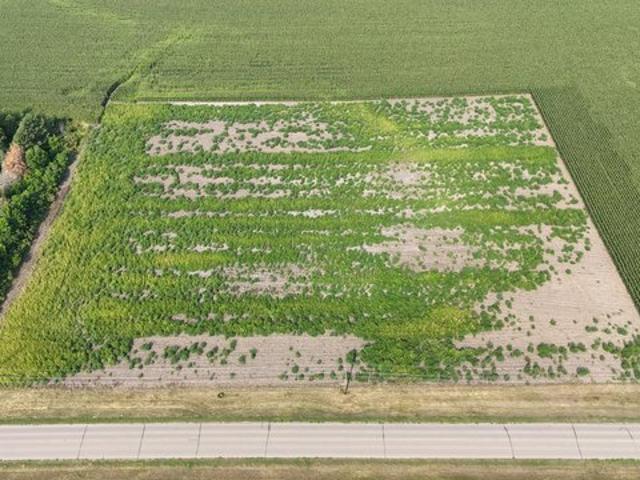 14991 th Ave, Milbank, SD 57252