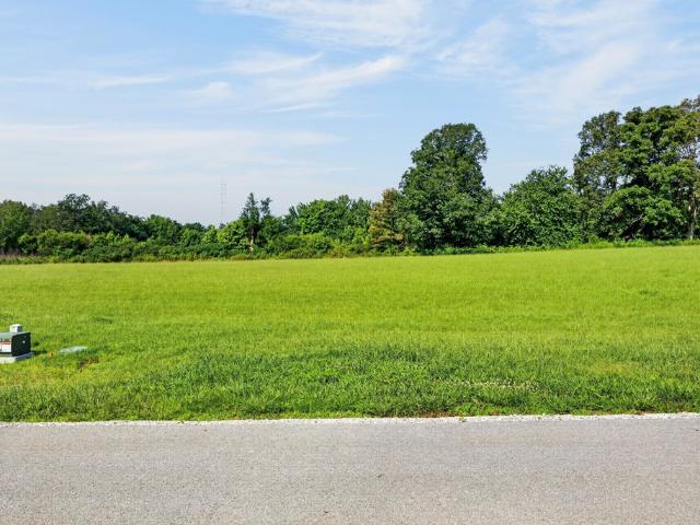 1499 Anna Maria Lane
