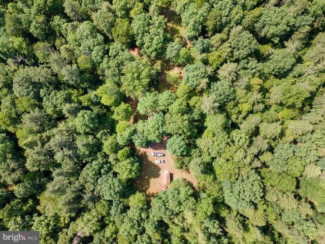 1499 Buggy Ridge Road