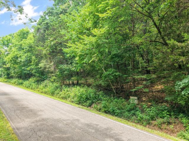 1499 Dogwood Valley Rd