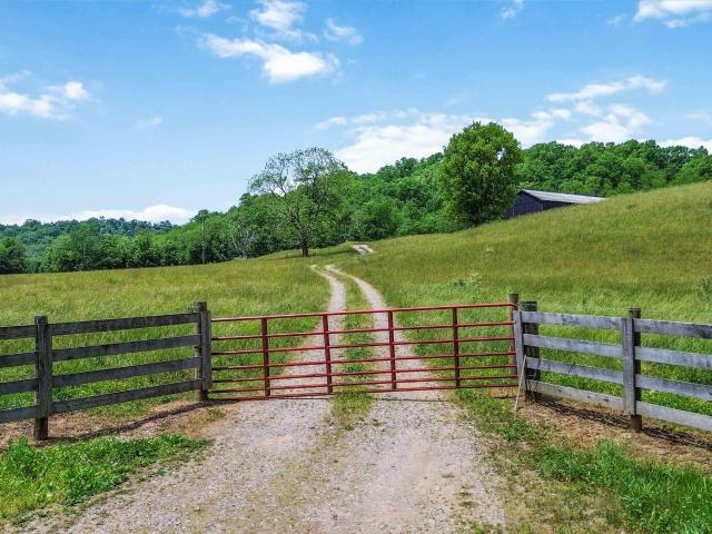 1490 Mule Shed Lane