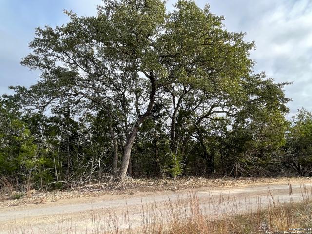 1490 Red Rock Rd, Kendalia, TX 78027 | MLS #1577