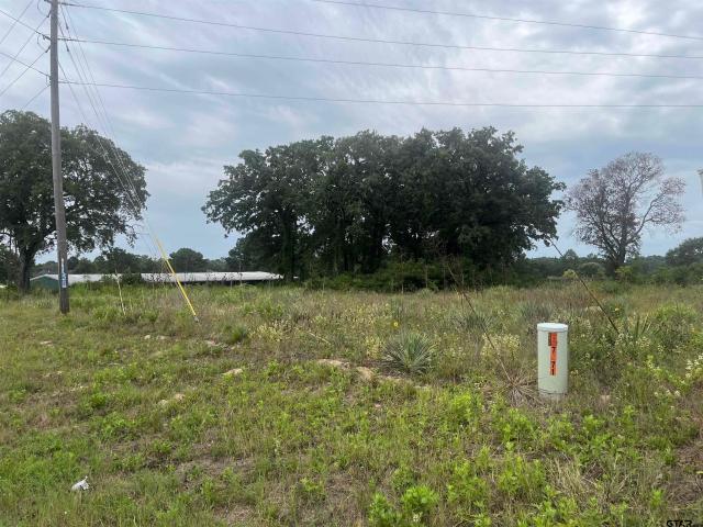 14914 C R 424, Lindale, TX 75771 | MLS #25011 | Compass