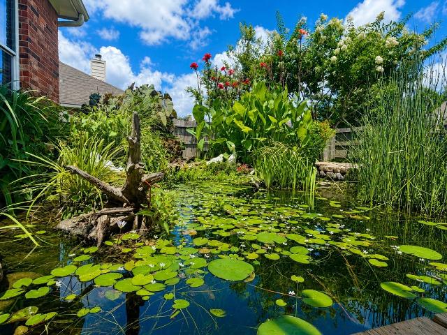 14915 Meridian Park Lane