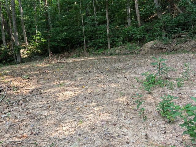 1492 Sulphur Creek Road