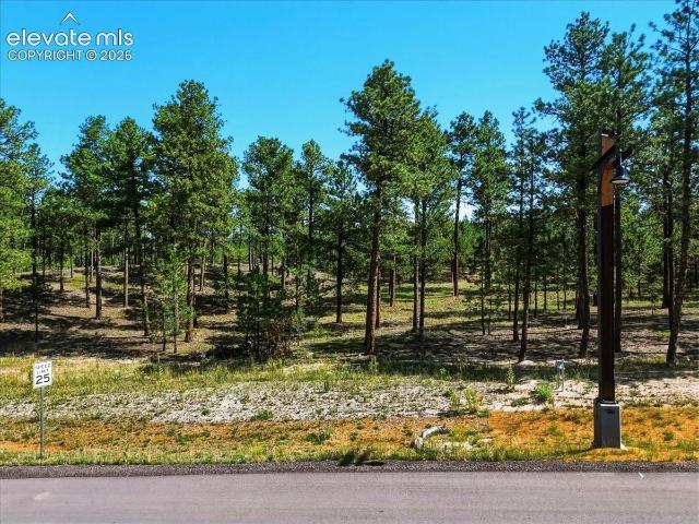 14931 Quartz Creek Drive