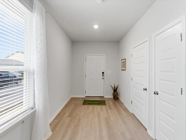 149 Cutleaf Cv
