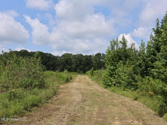 149 Gober Road