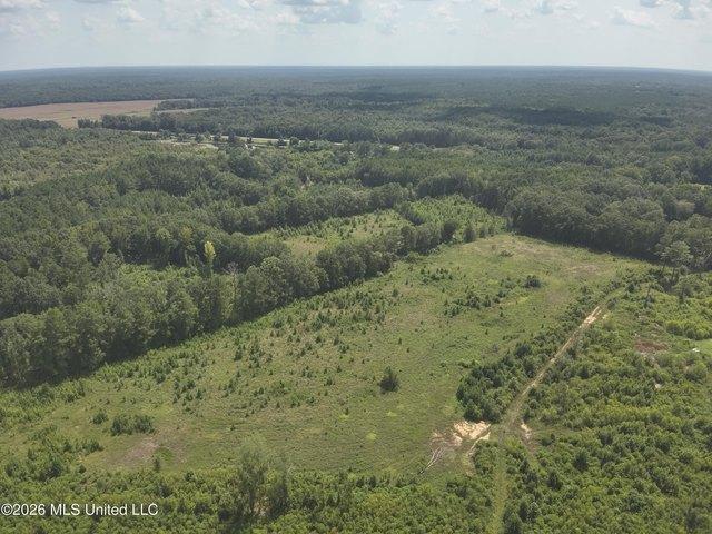 149 Gober Rd, Camden, MS 39045
