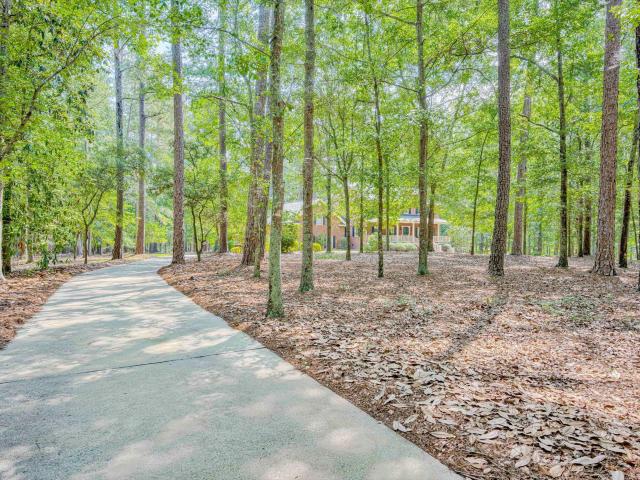 149 Gadwall Lane