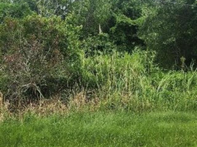 149 Harris St, Morehead City, NC 28557