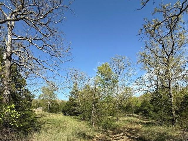 149 N Roanoke Rd, Salem, MO 65560
