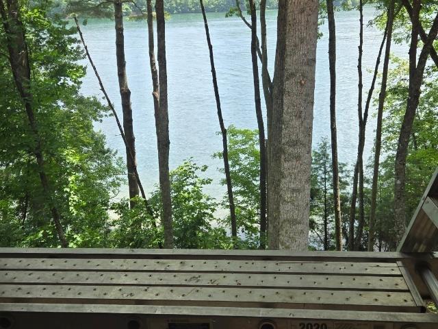 149 W Woods Mountain Trail