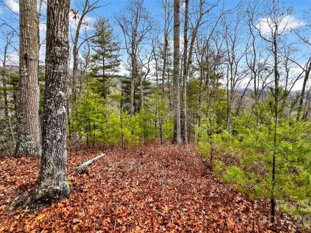 149 Turkey Trot Trail # 17
