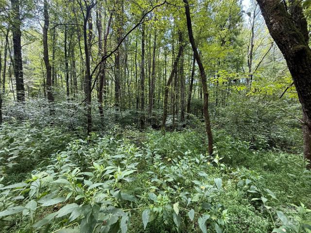 14.57 New Salem Rd, Statesville, NC 28625 | MLS #4295 | Compass