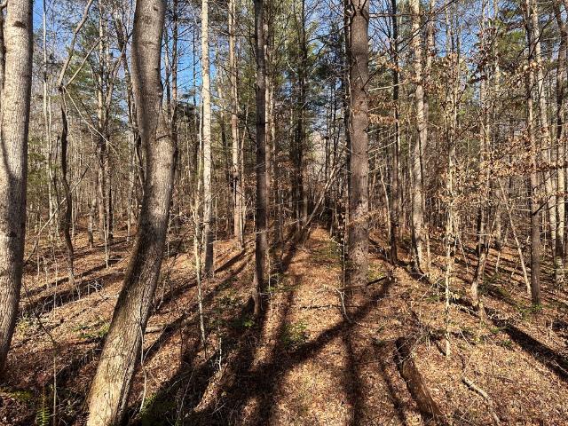 14.56 ac Hwy 52