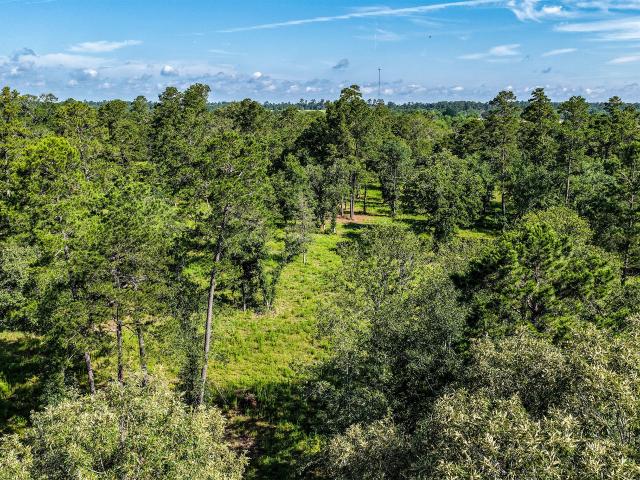 14.5 acres Westview Dr, Huntsville, TX 77320 | MLS #62475