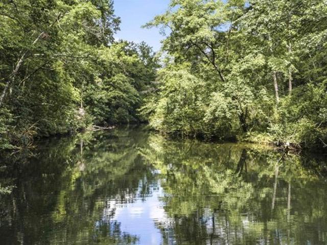 14 5 Rd # 948, Mentone, AL 35984