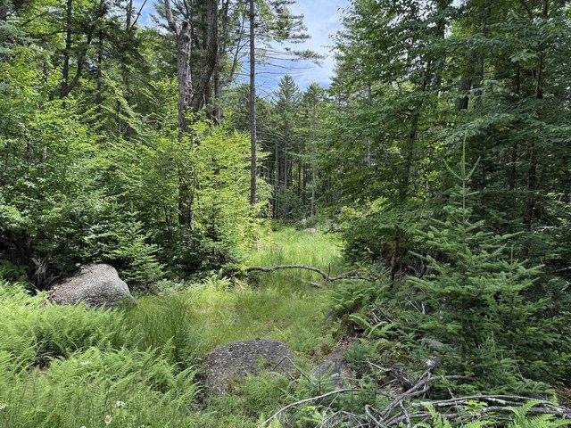 14 74 Grant Rd, Washington, NH 03280