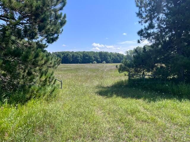 14.7 Acres Erdman Road