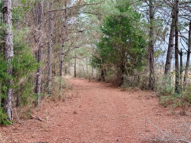 14.10 acres County Road 4