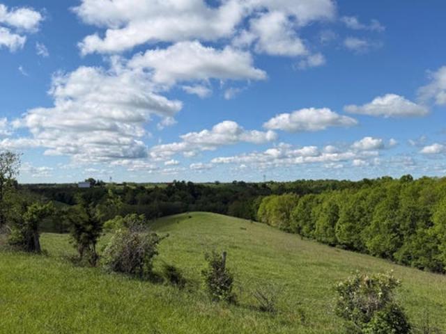 14.17 Ac Chipman Ridge Road