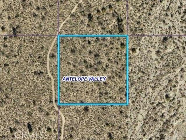 14 233rd, Llano, CA