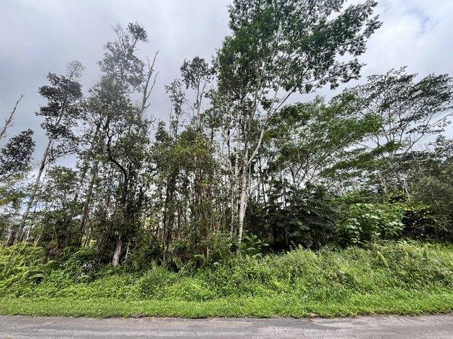 14 3368 Mauna Kea Rd, Pahoa, HI 96778