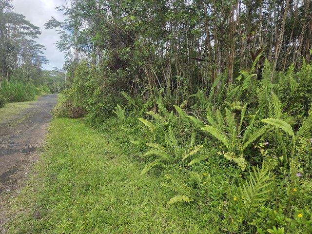 14 3362 Paradise Rd, Pahoa, HI 96778