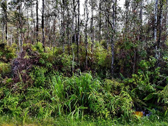 14 3415 Niihau Rd, Pahoa, HI 96778 | MLS #729122 | Compass
