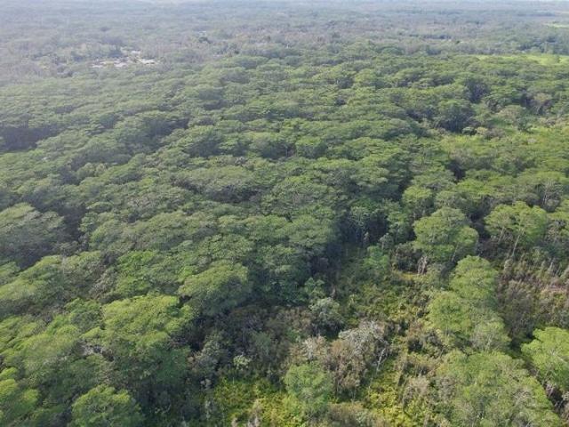 14 3845 Pahoa Kapoho Rd, Pahoa, HI 96778