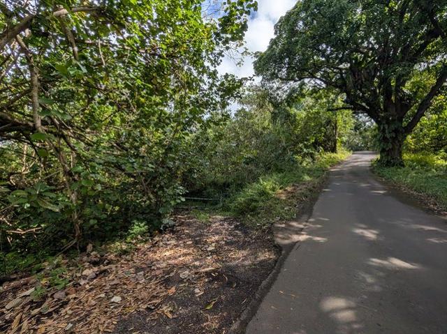 14 3963 Government Beach Rd, Pahoa, HI 96778