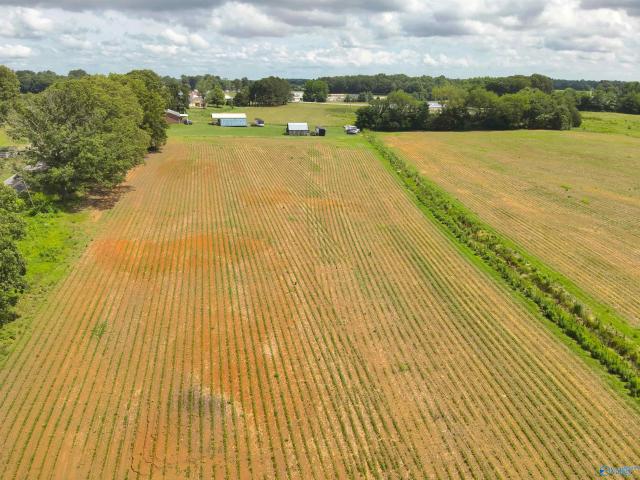 14.3 Acres Tillman Mill Road