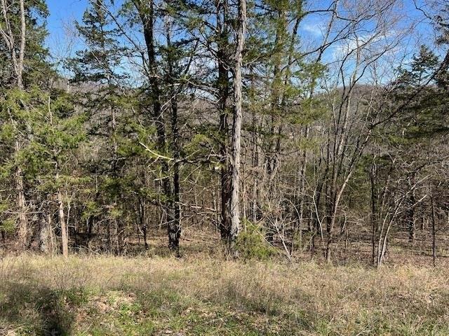 14 Thunderbird Ln Lot 14, Holiday Island, AR 72631