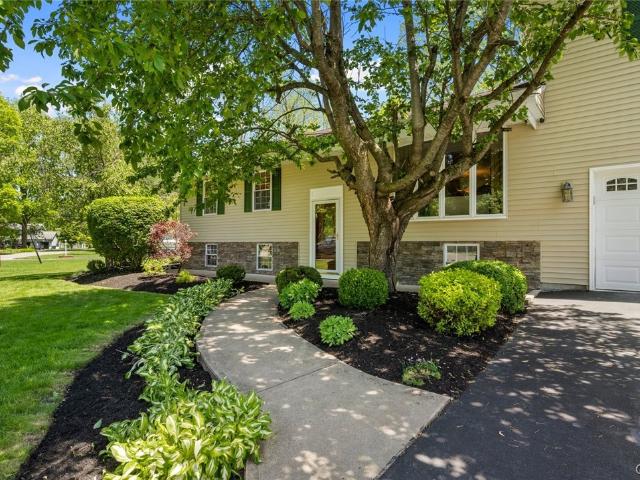 14 University Circle
