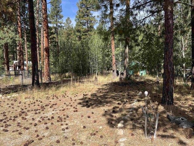 14 W River Dr, Lowman, ID 83637