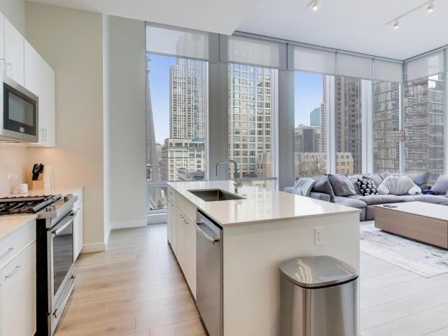 14 W Superior St 1003, Chicago, IL