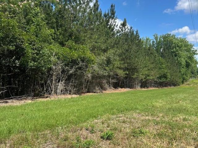 14 AC Barnard Street