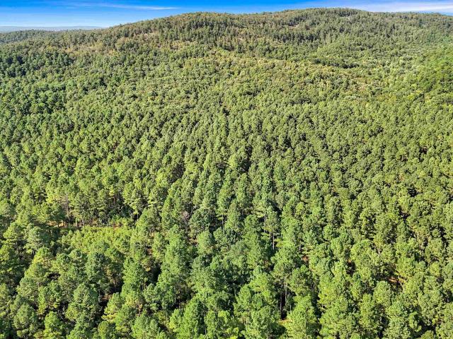 14 ac chicot trail