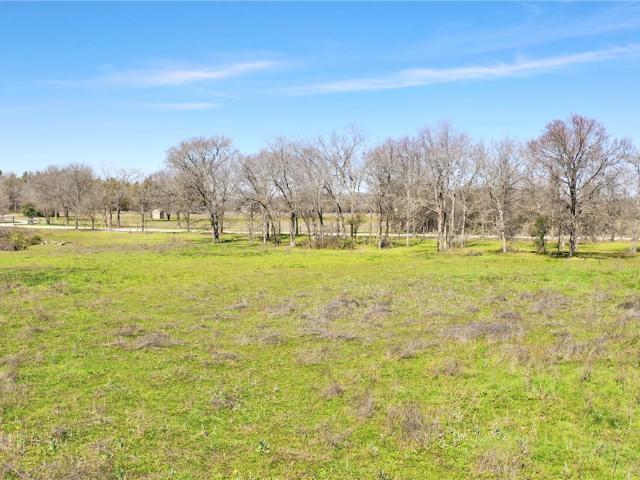 14 ac Halliday Ln, Madisonville, TX 77864 | MLS #25011