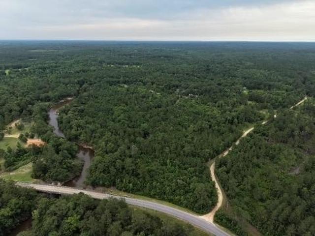 14 Ac Lazy Wolf Cv, Poplarville, MS 39470