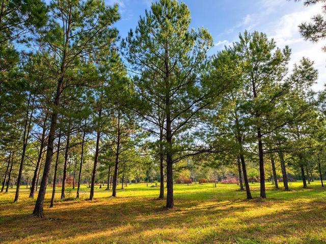 14 Acres F Z Goss Road