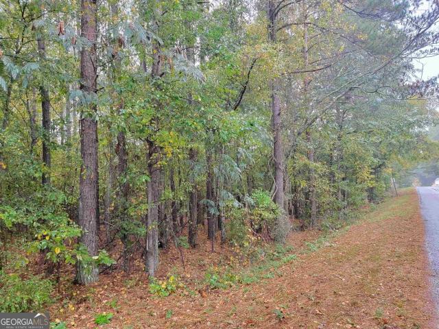 14 ACRES Lamars Mill Road