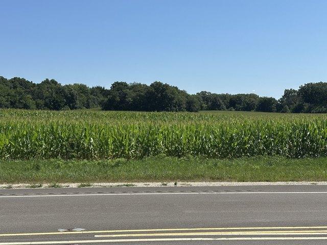 14 Acres Route 20 Hwy, Marengo, IL 60152