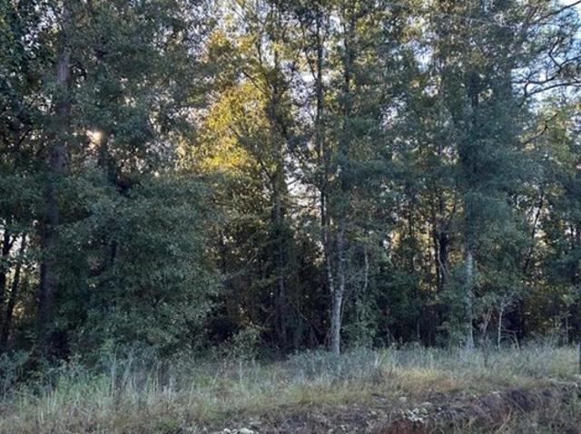 14 and 15 Paradise Dr, Donalsonville, GA 39845