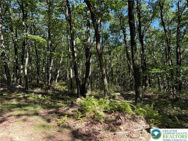 14 Berry Run Dr, Jim Thorpe, PA 18229 | MLS #764211 | Compass